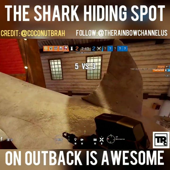 Outback Shark Mezzanine Defense Strategy - Siege School